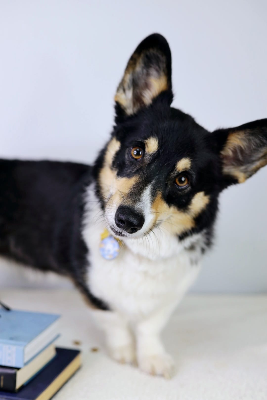 Background and Attributes