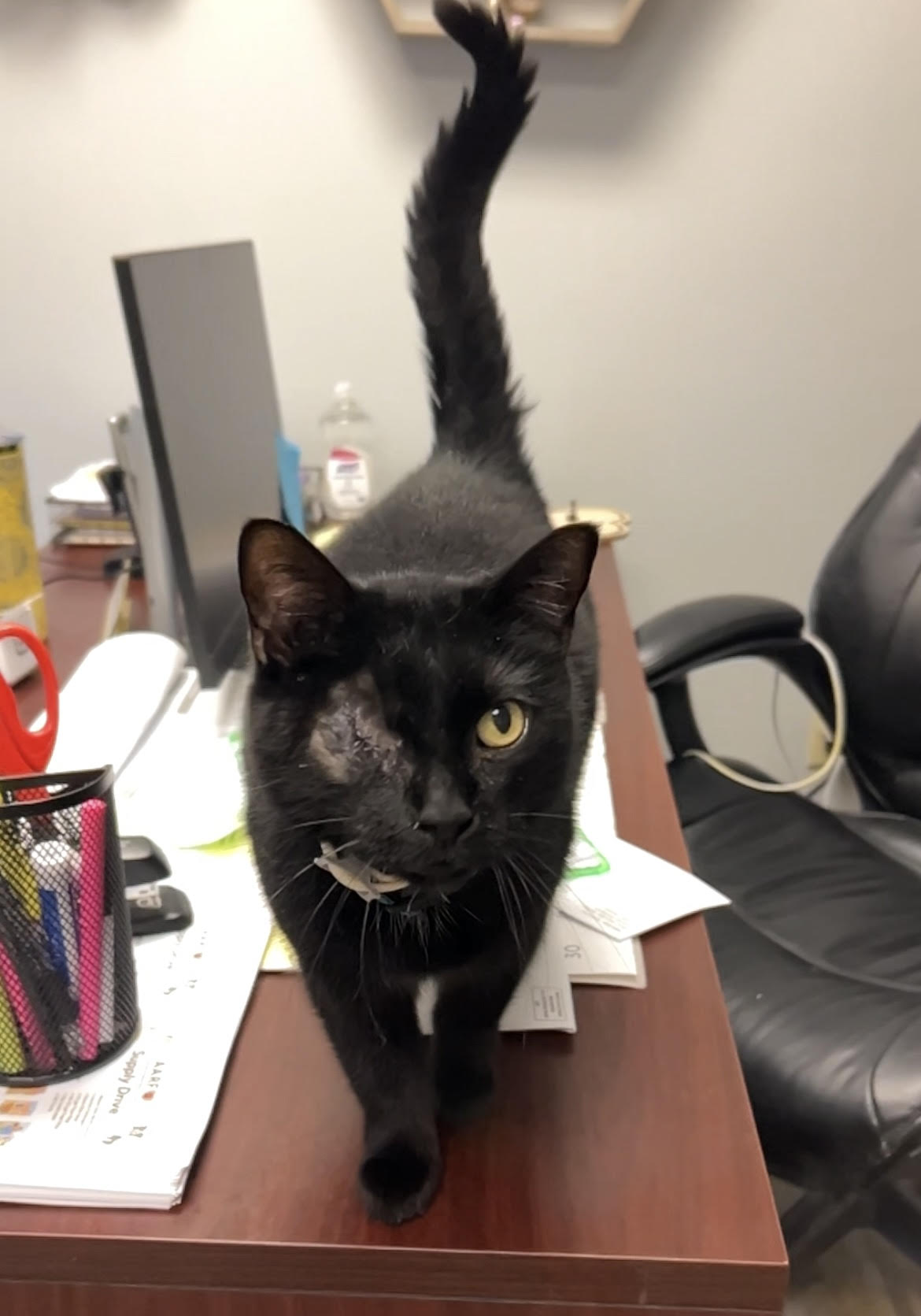 Background and Attributes