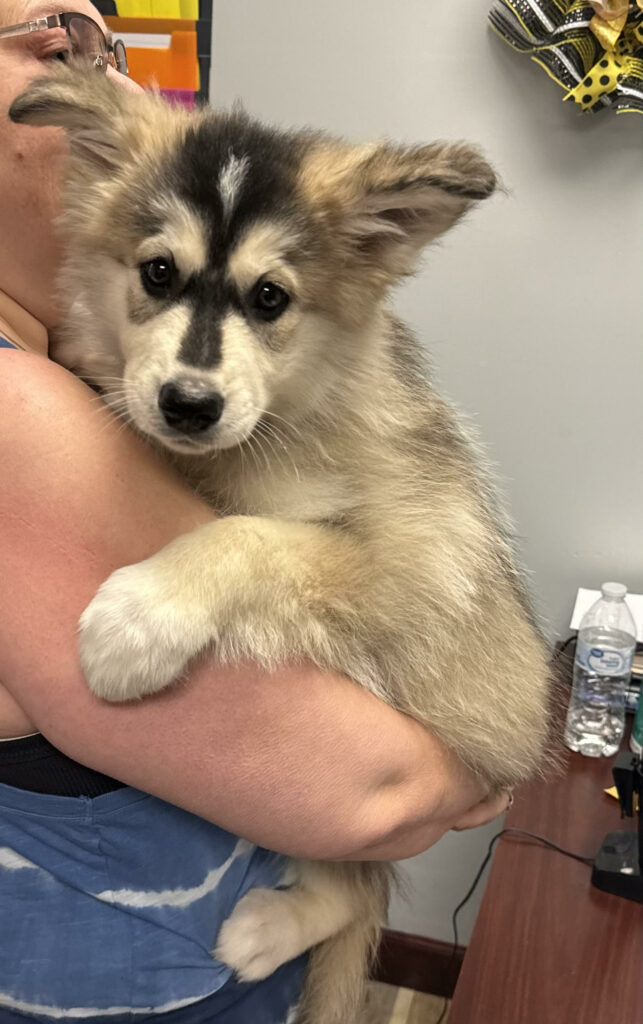 Background and Attributes