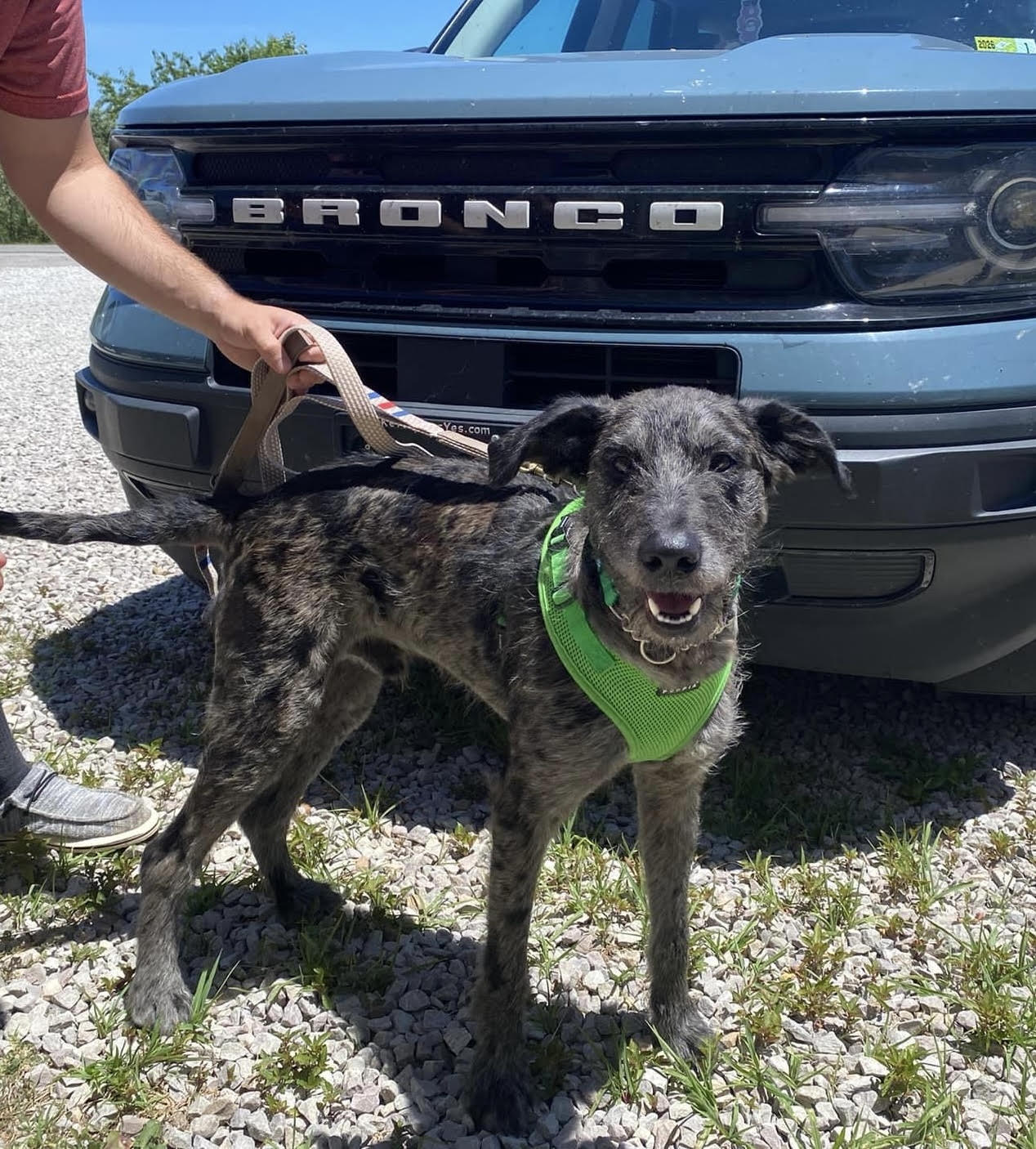 Background and Attributes