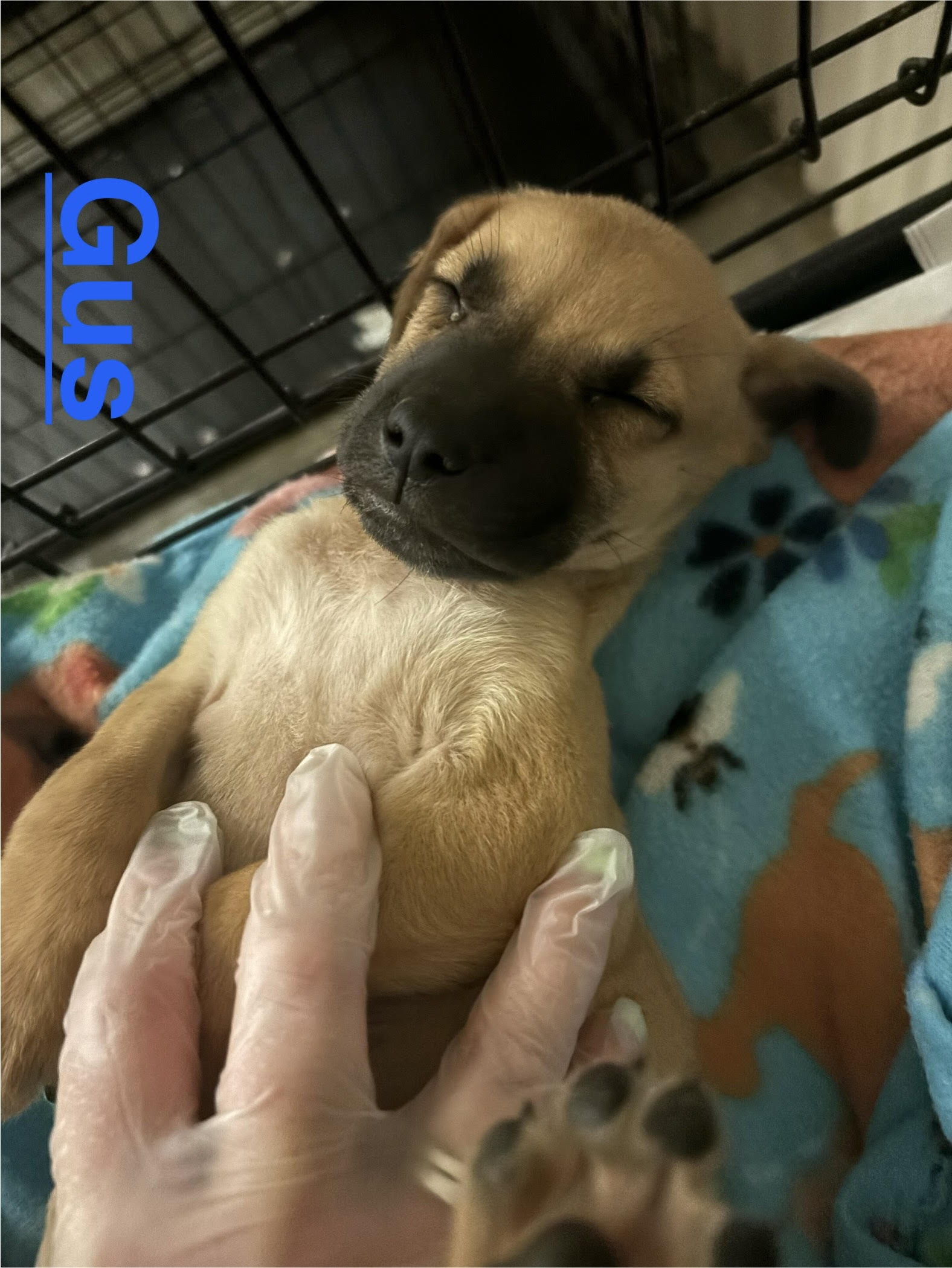 Background and Attributes