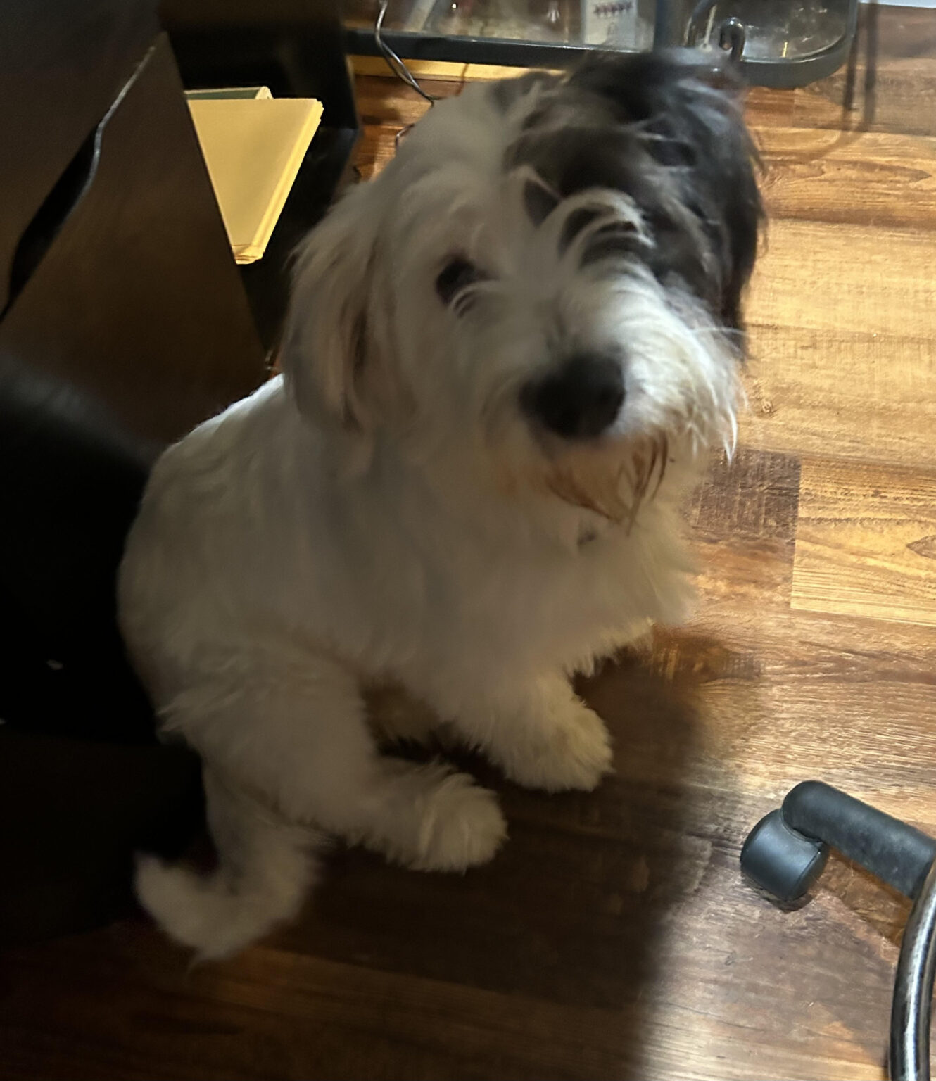 Background and Attributes