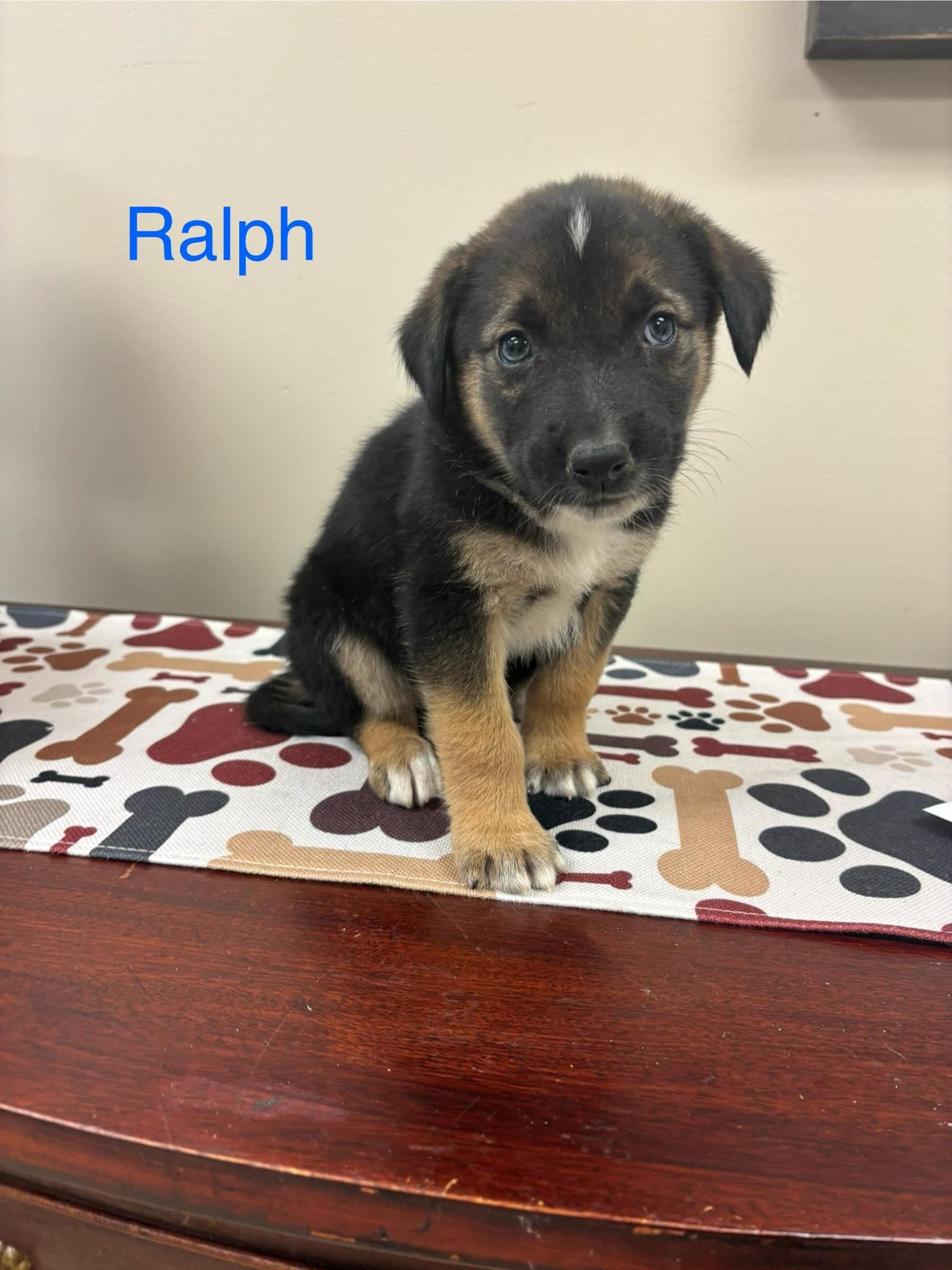 Background and Attributes