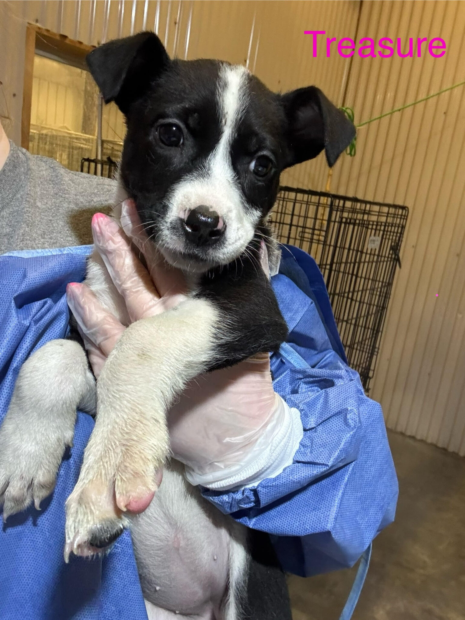 Background and Attributes