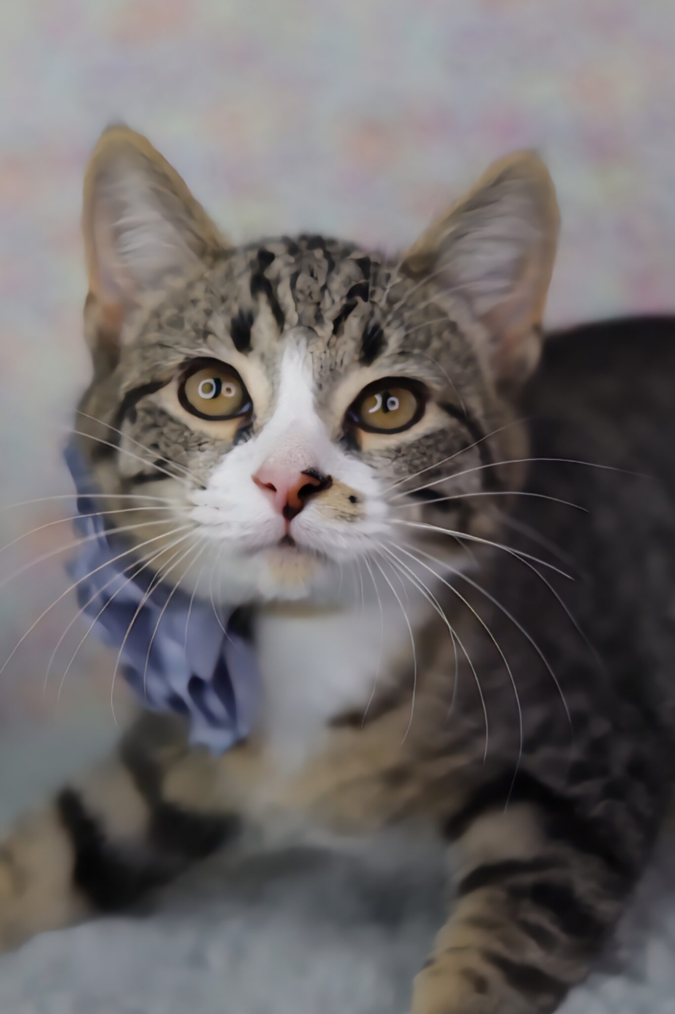 Purrince Fluffybottom