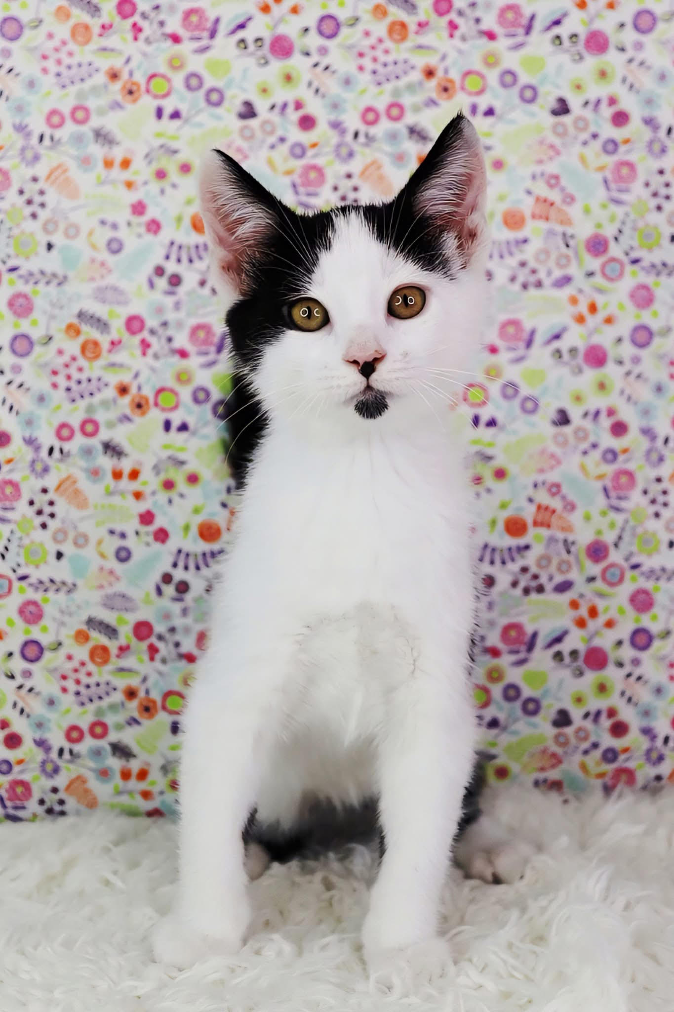 Background and Attributes