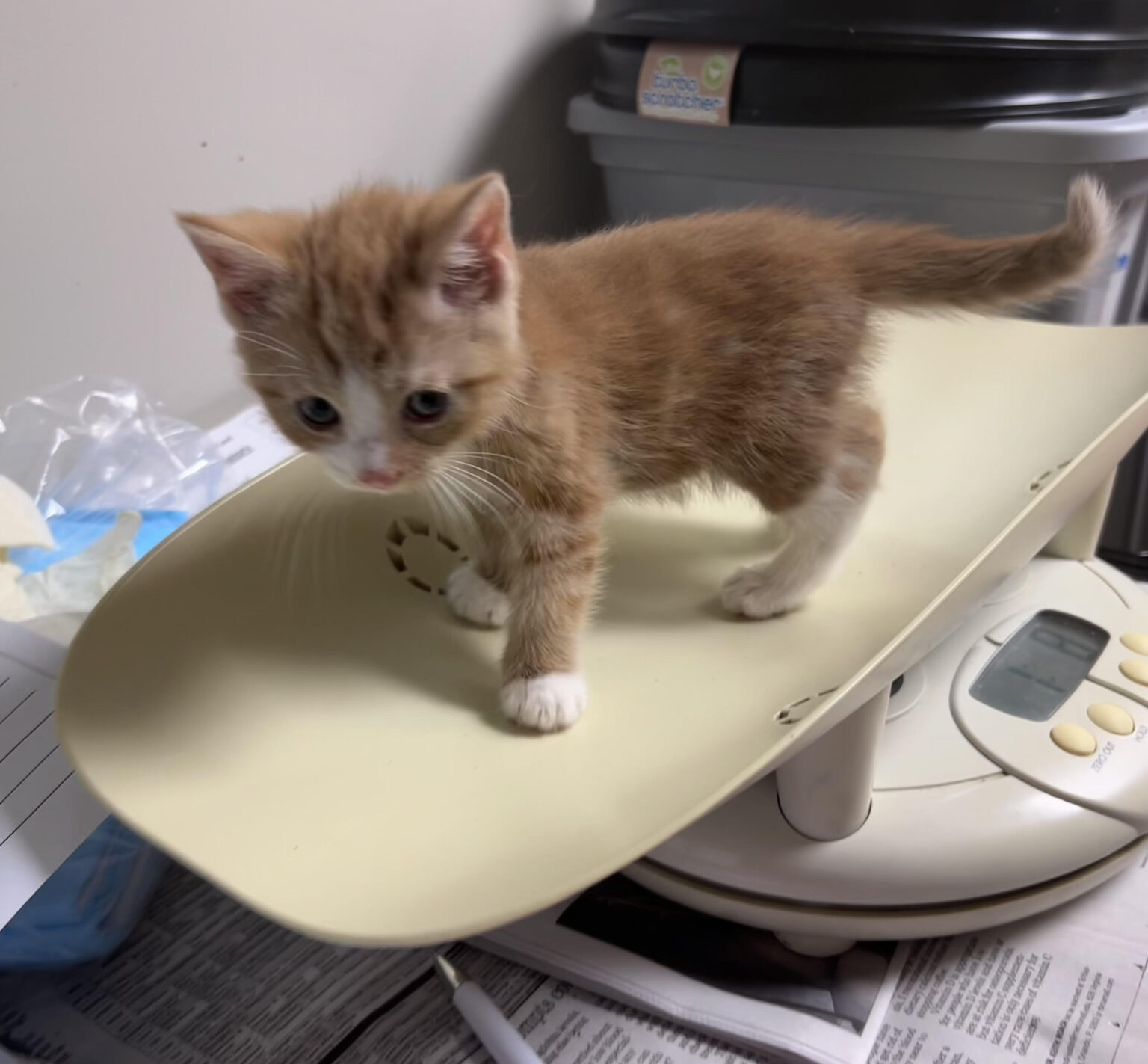 Background and Attributes