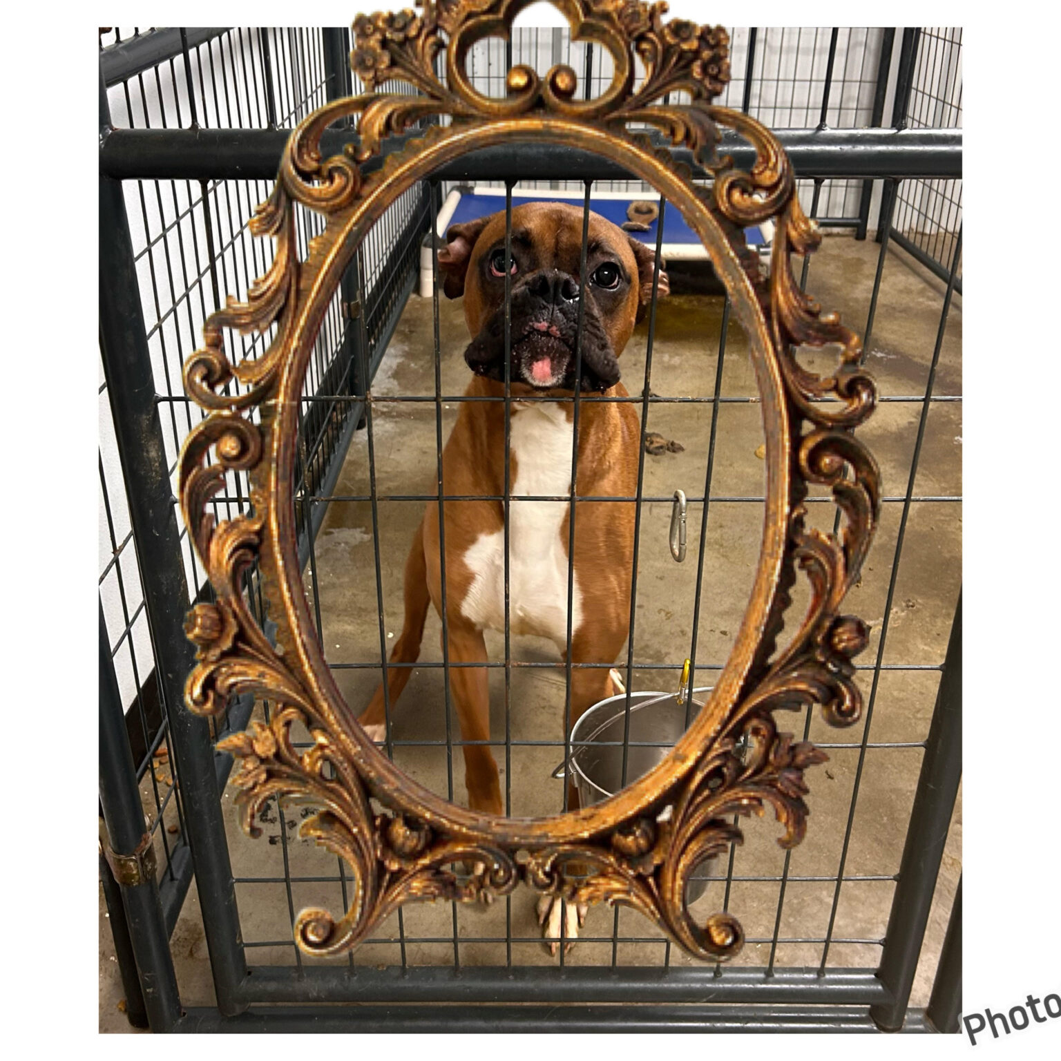 Background and Attributes